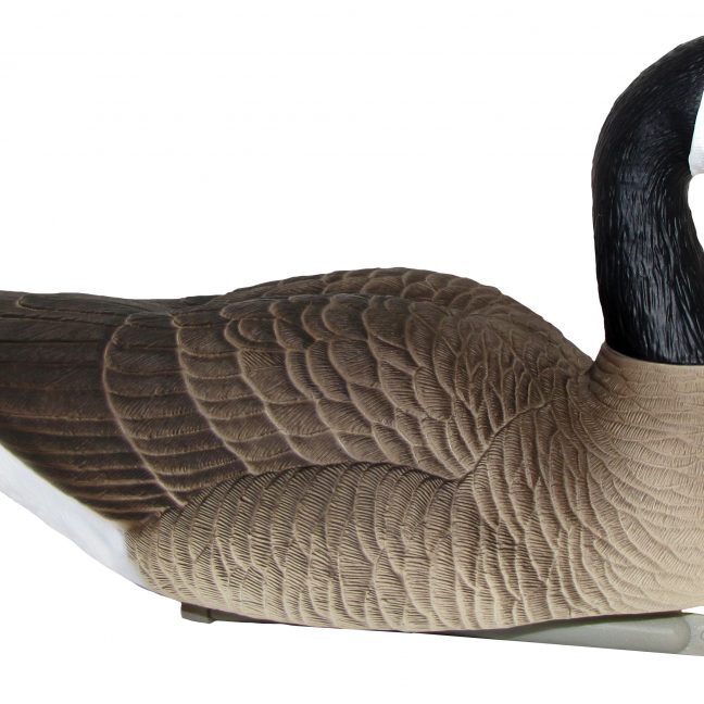 Big Honker Floater Full size Canada goose-6 Pack – Heavy Hauler Outdoor ...